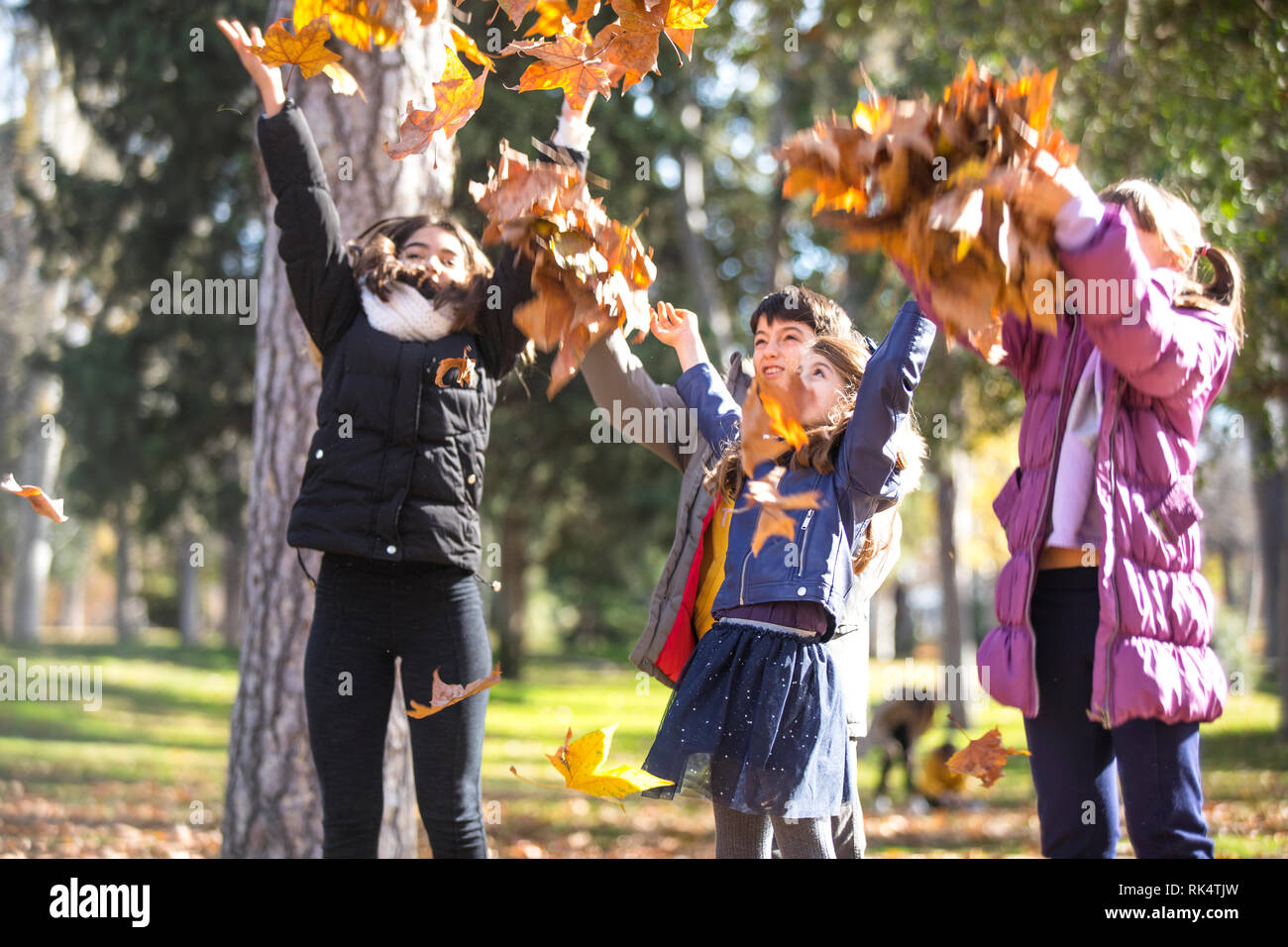 Children playing leaves autumn hi-res stock photography and images - Alamy