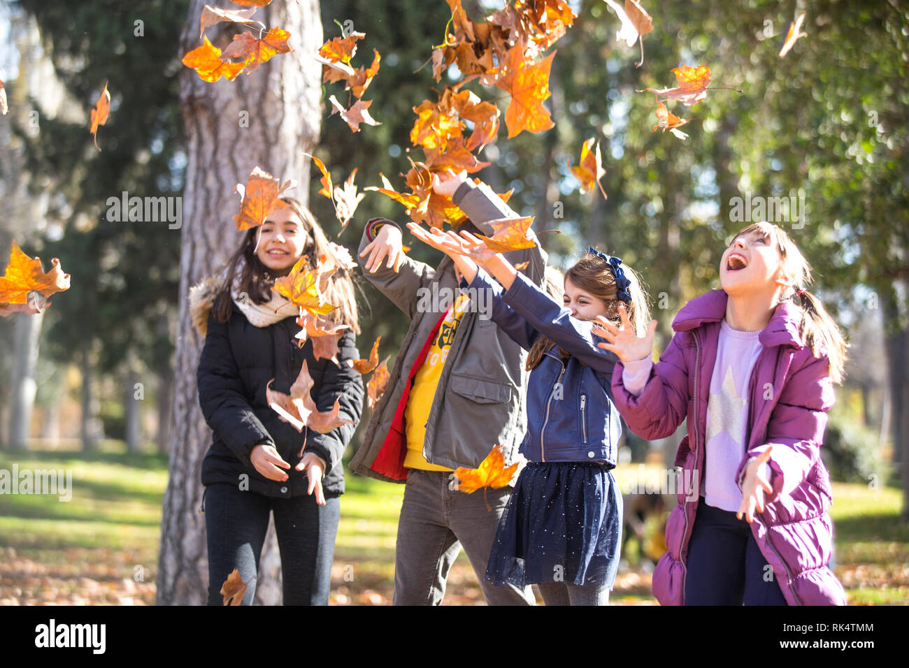 Children playing autumn sun hi-res stock photography and images - Alamy
