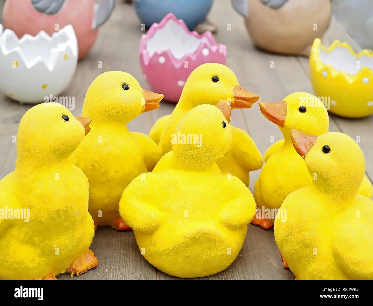 Group of cute ducklings in front of easter eggs for easter decoration ...