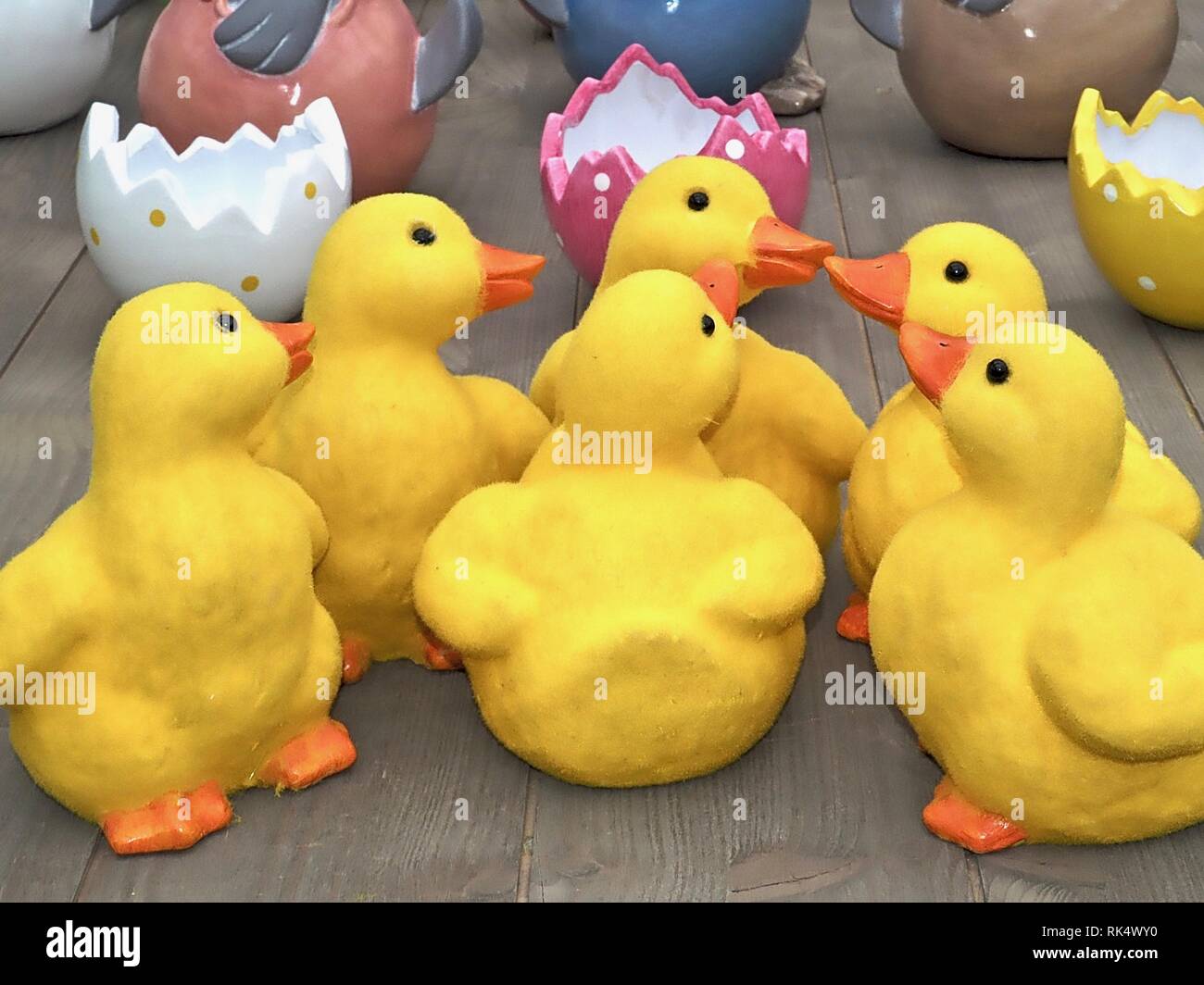 Many ducklings and wood hi-res stock photography and images - Alamy