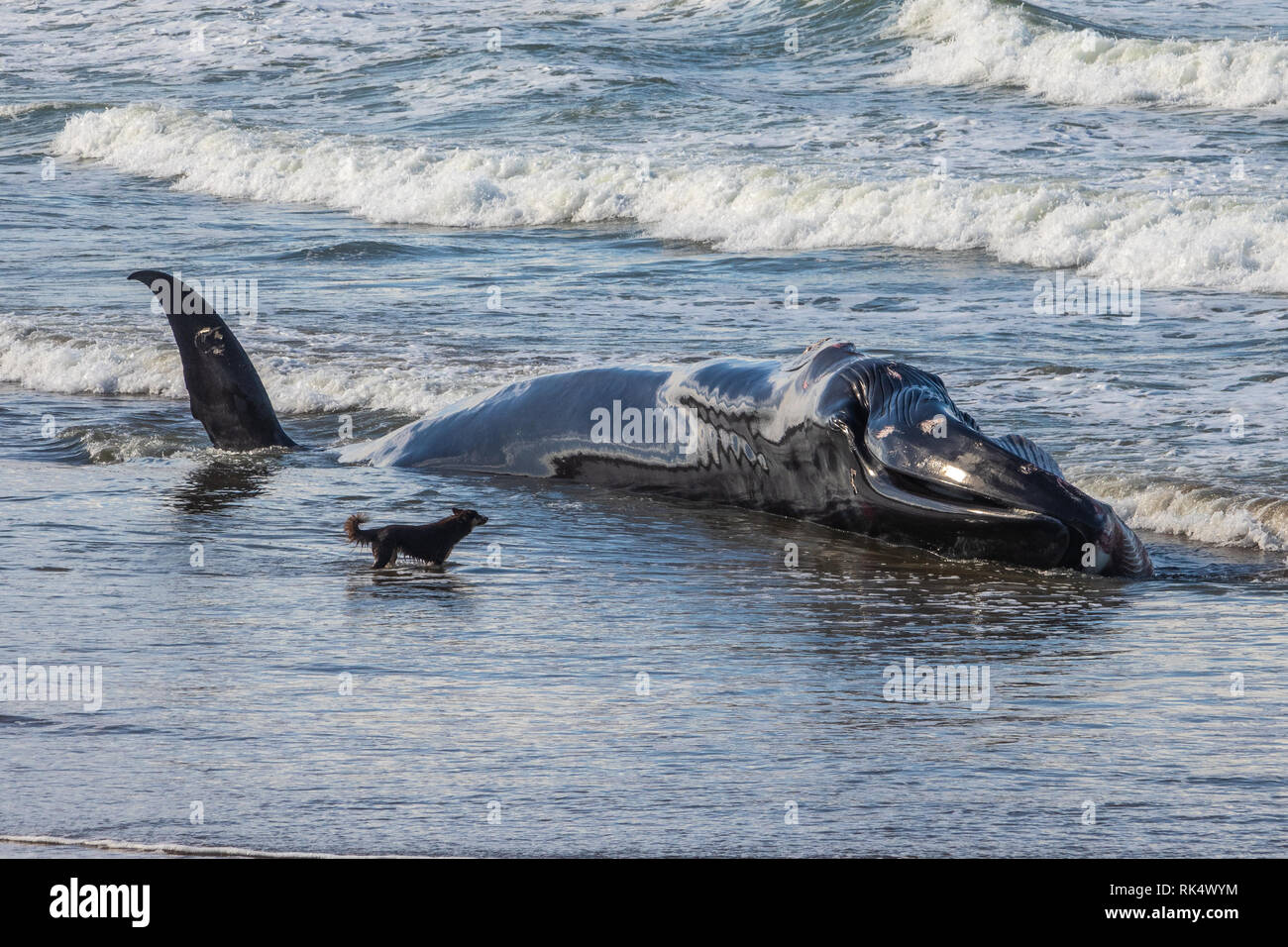 Wound waves hi-res stock photography and images - Alamy