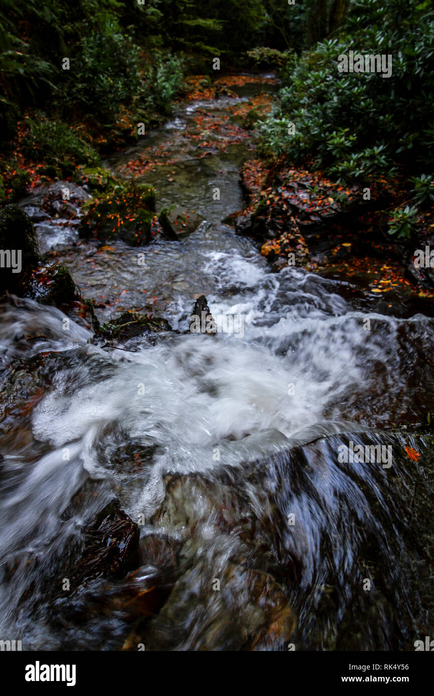 Fast running stream Stock Photo - Alamy