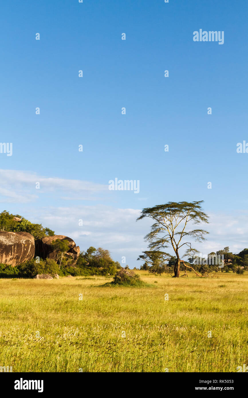 Endless plain of Serengeti. Tanzania, Africa Stock Photo - Alamy