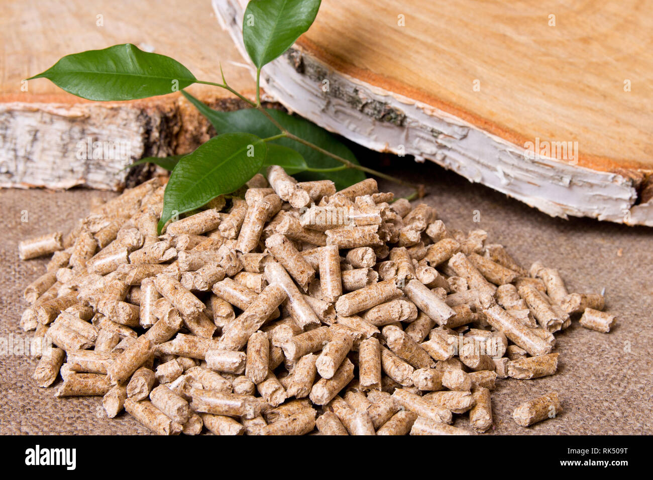 Wood pellets, birch and twig with leaves. Biomass Pellets- cheap energy ...