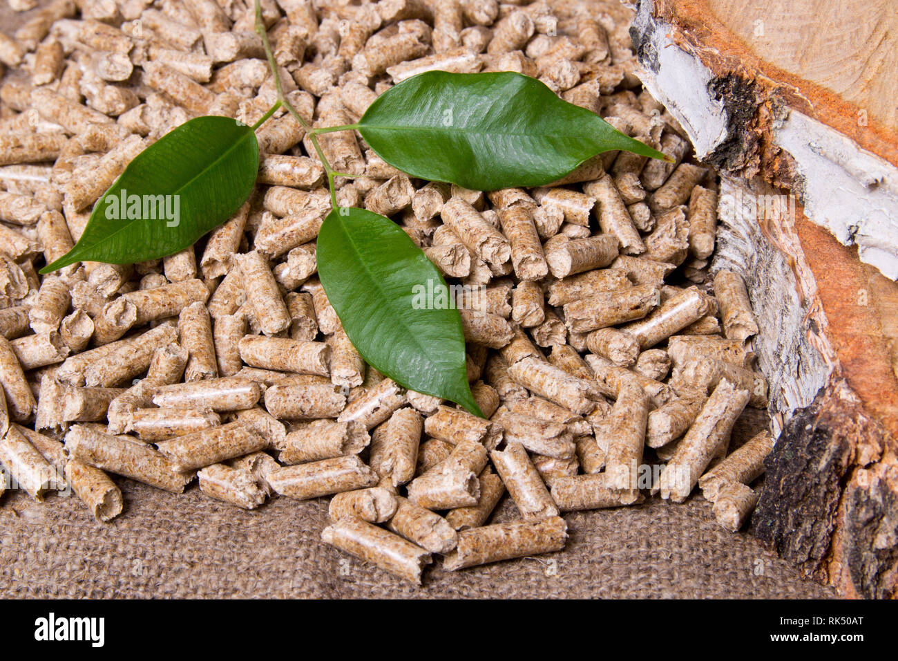 Wood pellets, birch and twig with leaves. Biomass Pellets- cheap energy ...