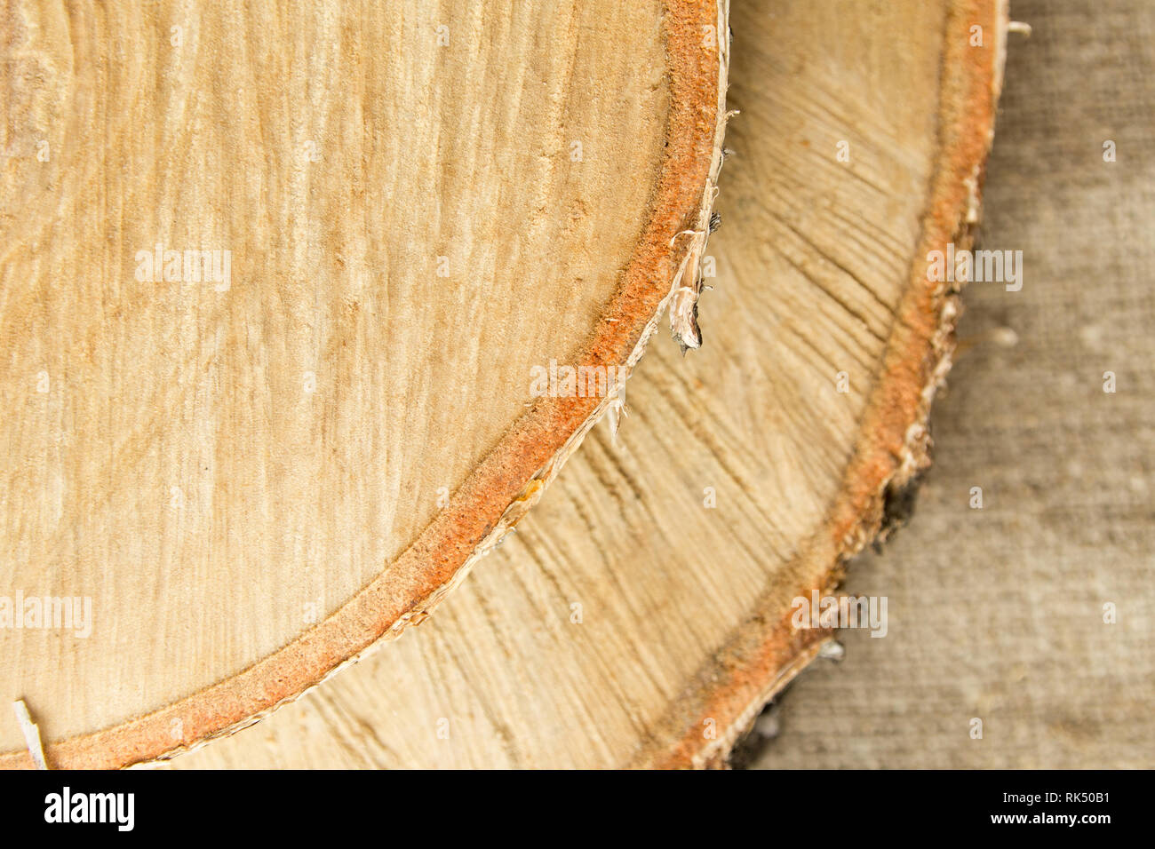 Birch cut on linen tablecloth, background Stock Photo - Alamy