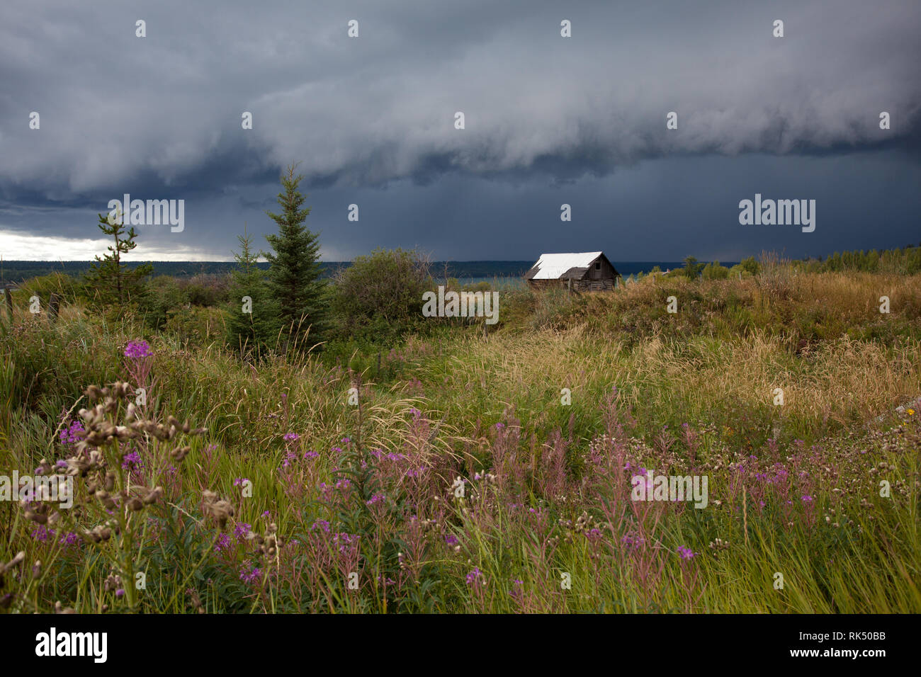 Lac la hache hi-res stock photography and images - Alamy