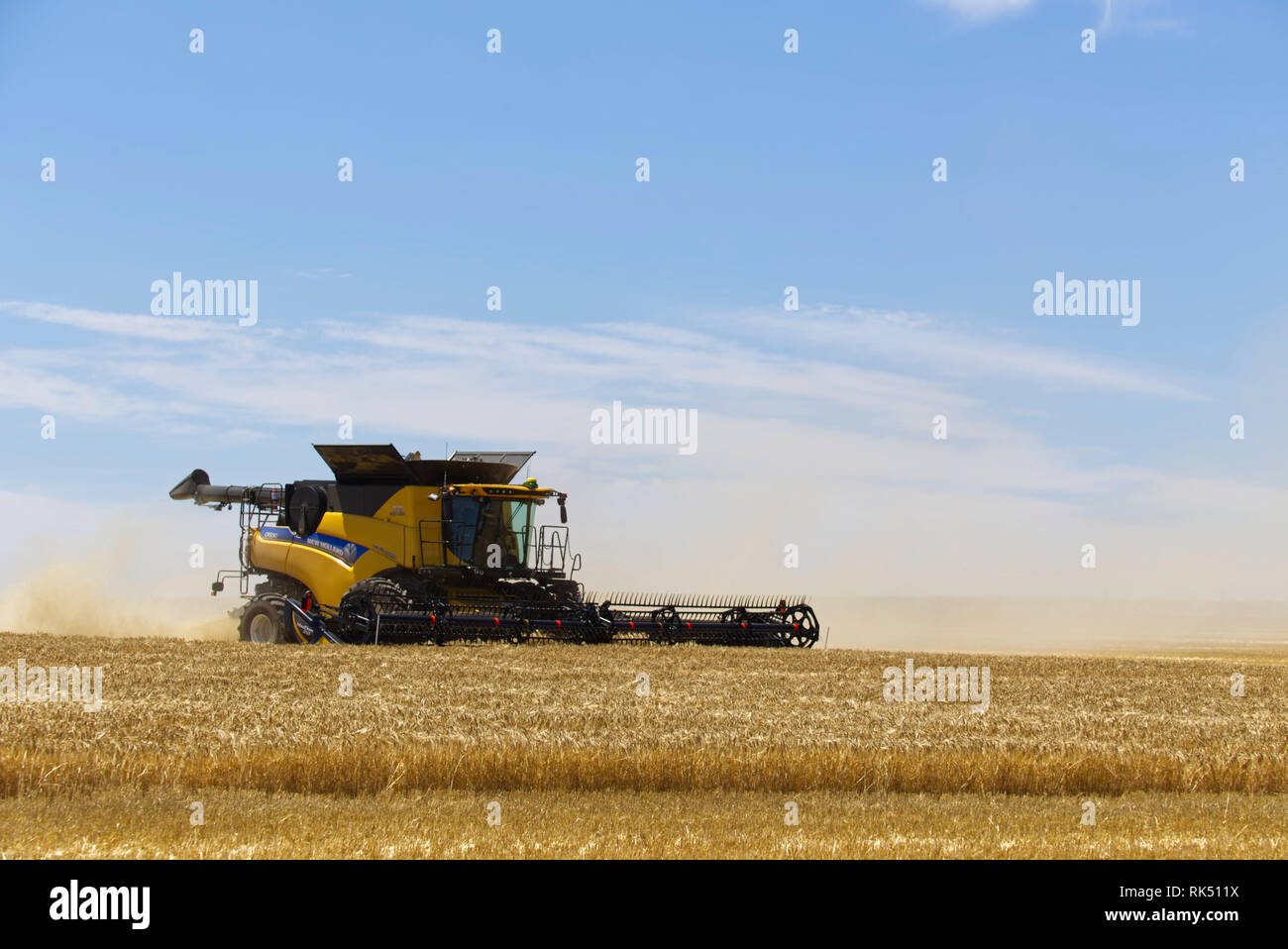 Barley harvesting with combine harvester (New Holland) Eyre Peninsula ...
