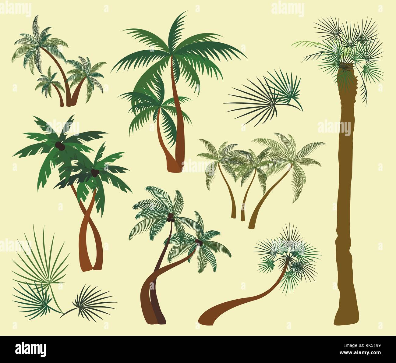 Vegetation trees palms Stock Vector Images - Alamy