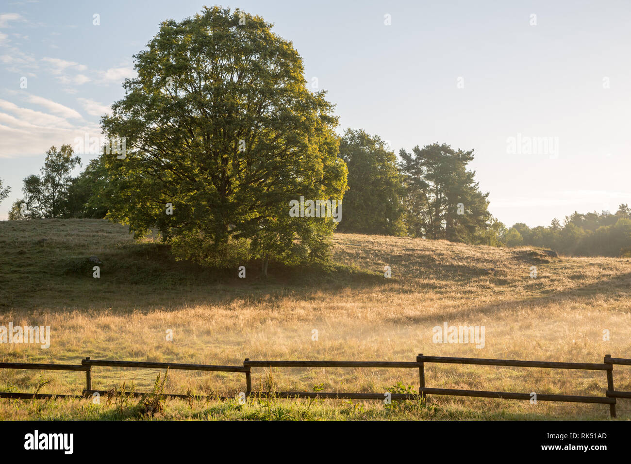 First beams hi-res stock photography and images - Alamy
