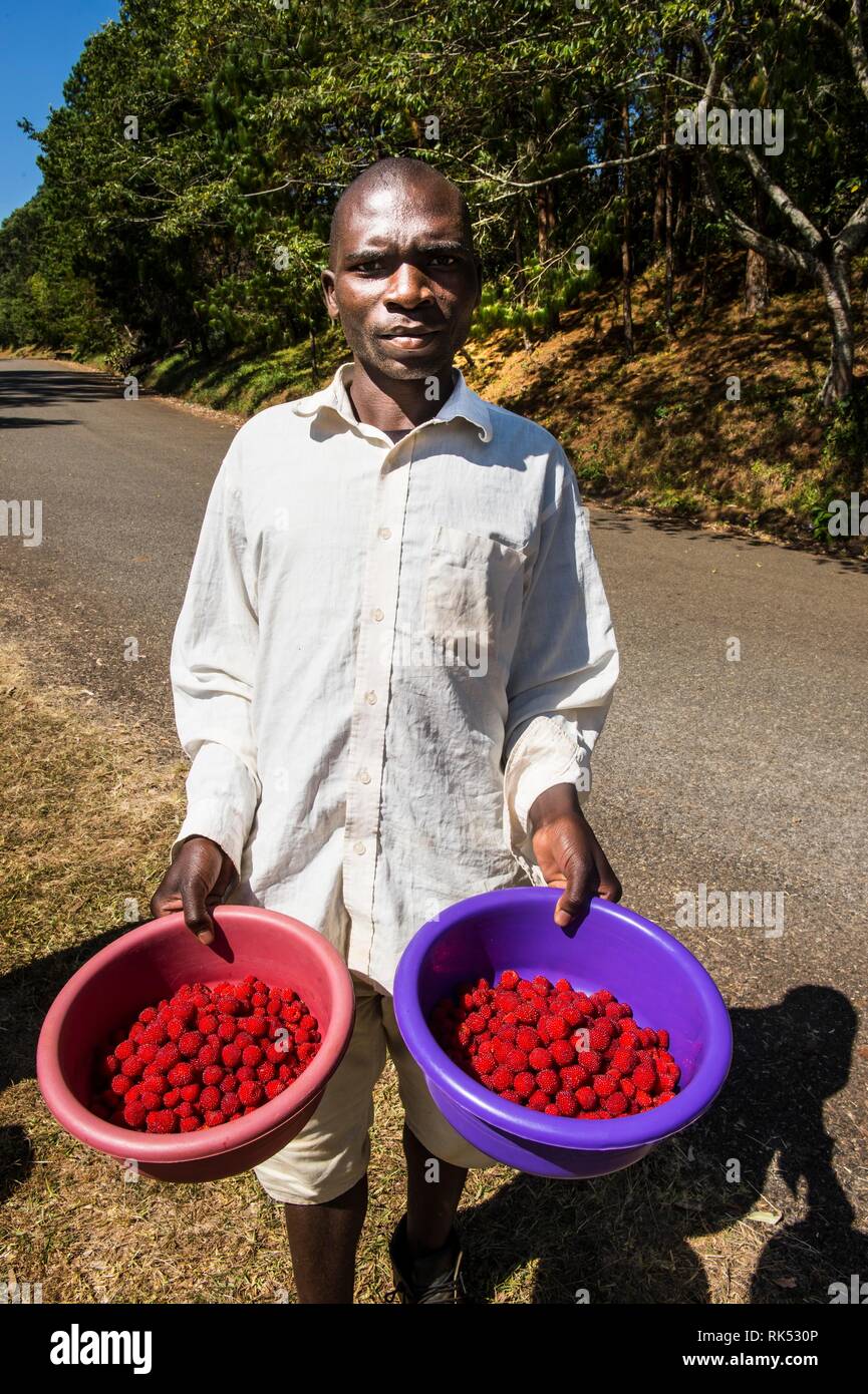 Vendor selling fruit africa hi-res stock photography and images - Alamy