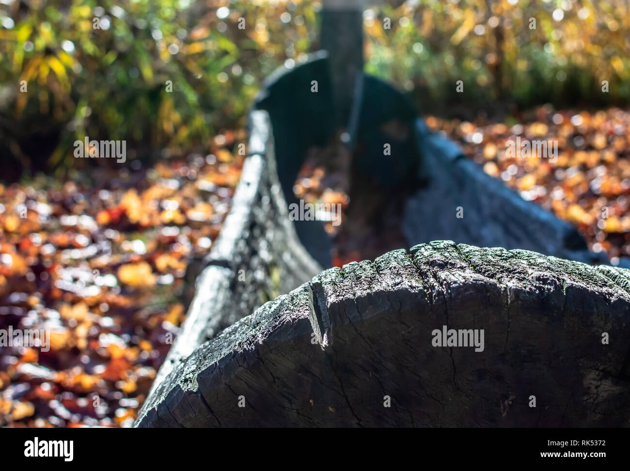 Stone age boat hi-res stock photography and images - Alamy