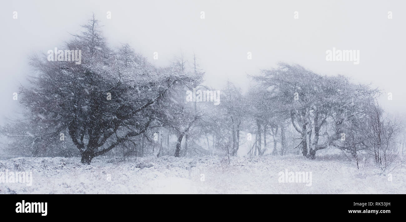 Storm yorkshire moors hi-res stock photography and images - Alamy