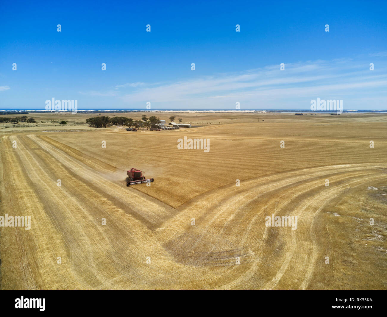 Aerial of barley grain harvesting using a modern wide comb combine ...