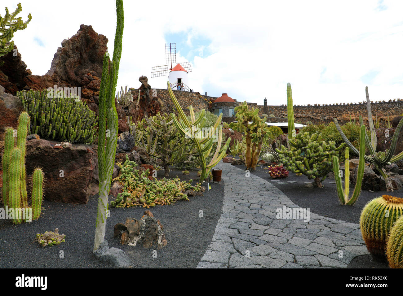 Tropical cacti gardens in Guatiza village on Lanzarote island, Spain ...