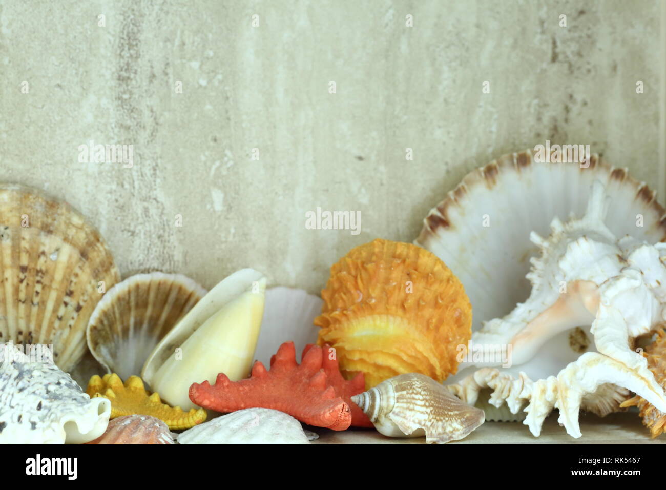 Crustaceans unique structure hi-res stock photography and images - Alamy