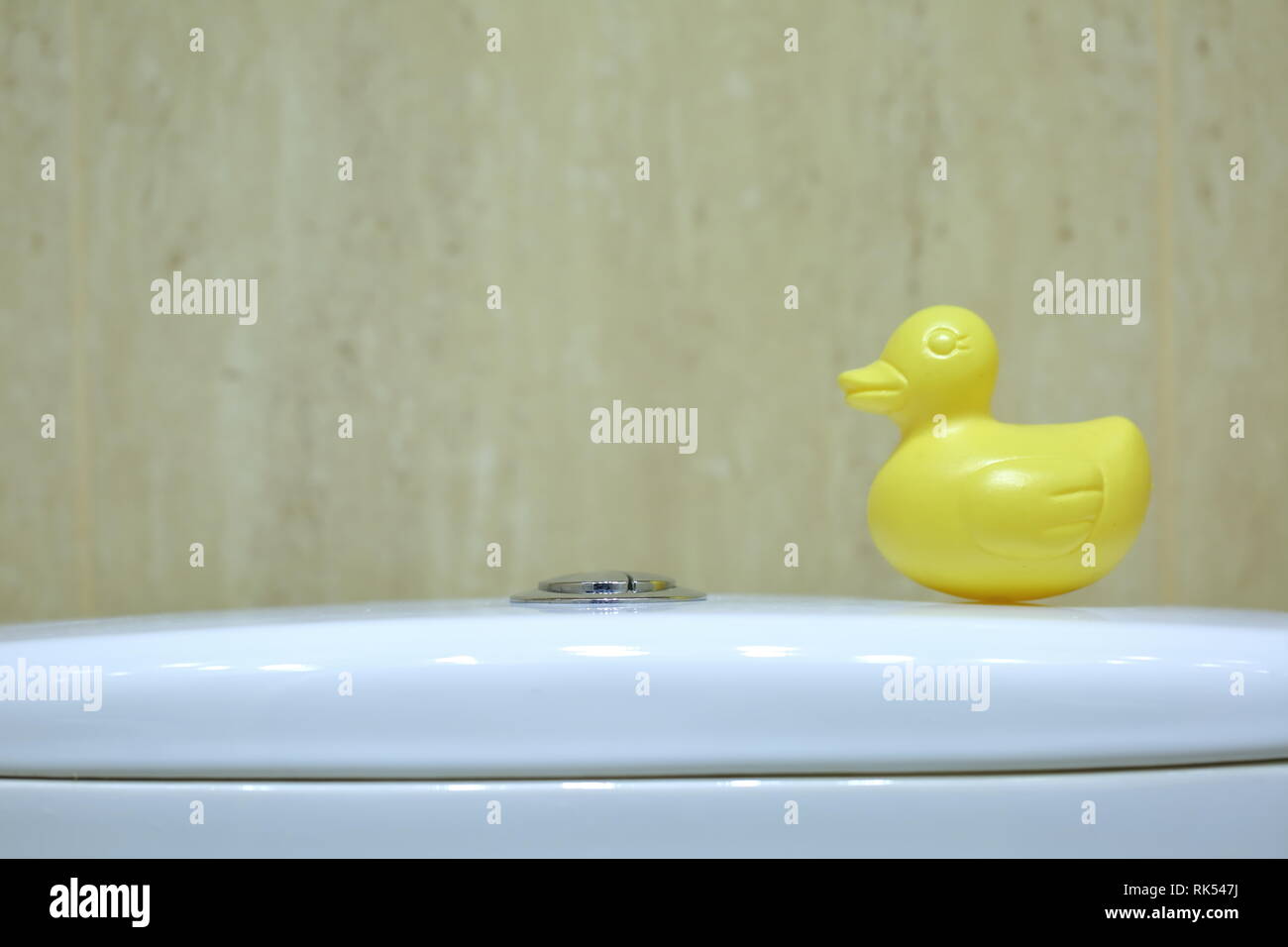 The yellow duck as an addition and the decoration in the toilet were ...