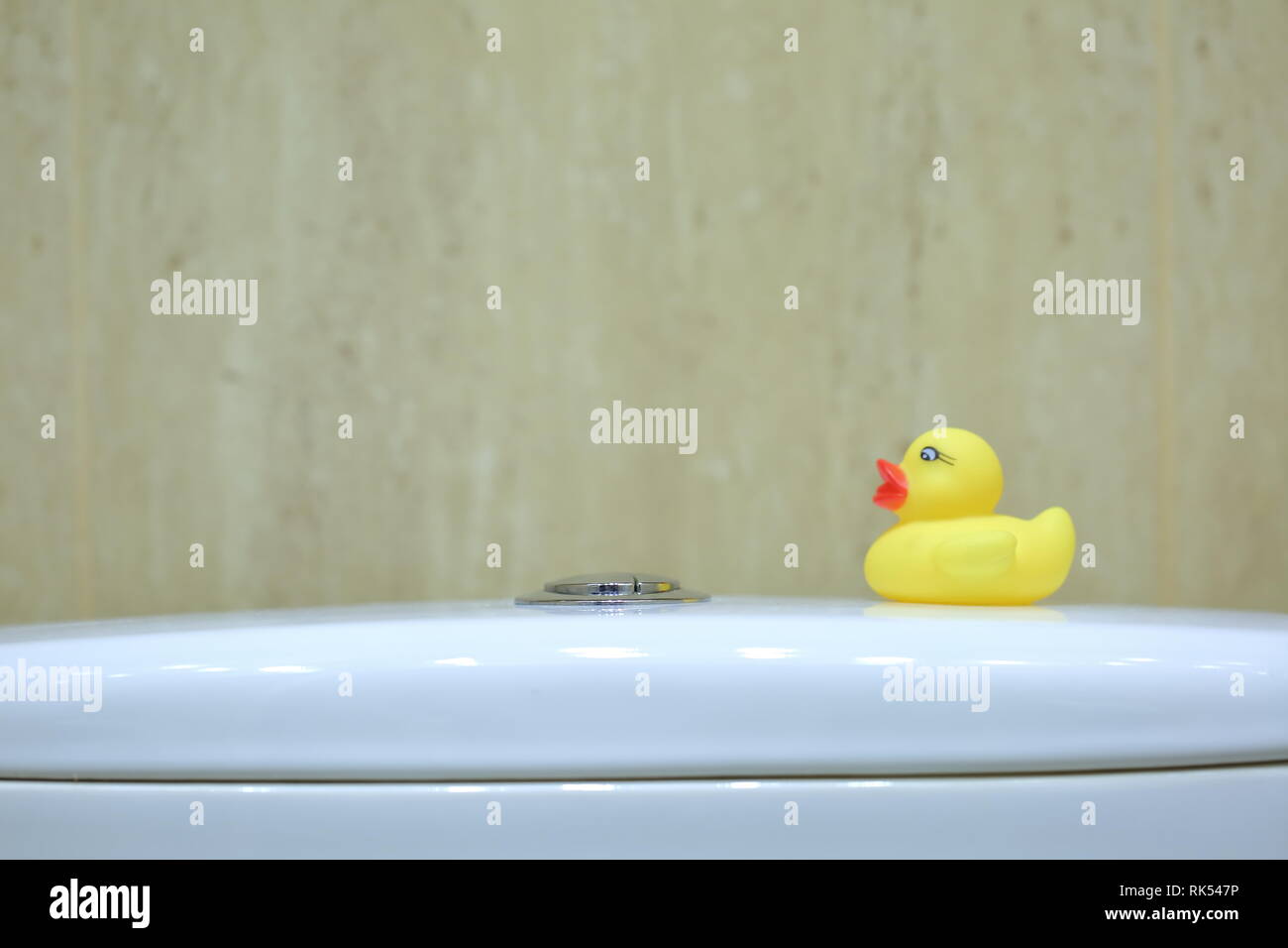 The yellow duck as an addition and the decoration in the toilet were ...