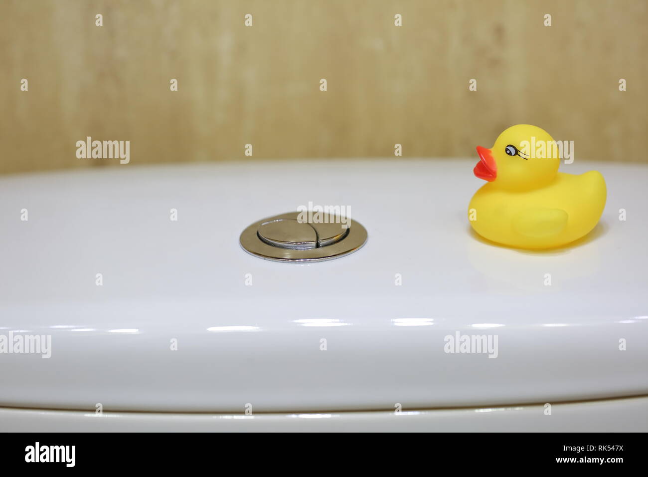 The yellow duck as an addition and the decoration in the toilet were ...