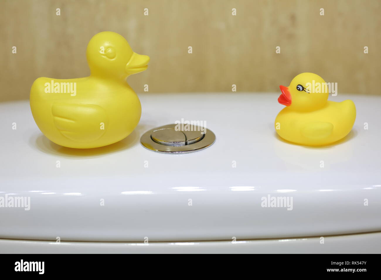 The yellow duck as an addition and the decoration in the toilet were ...