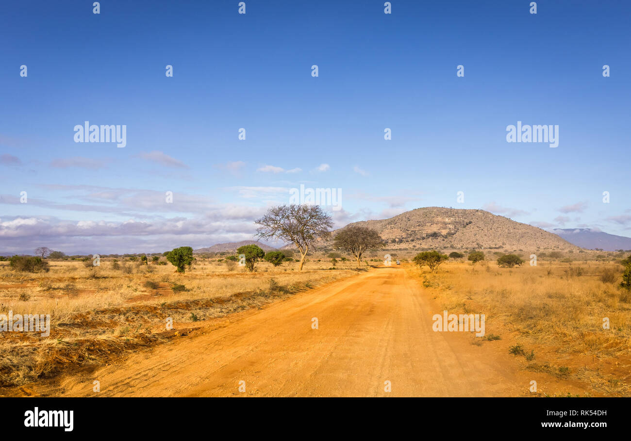 Amazing savannah plains landscape and safari road in Kenya Stock Photo ...