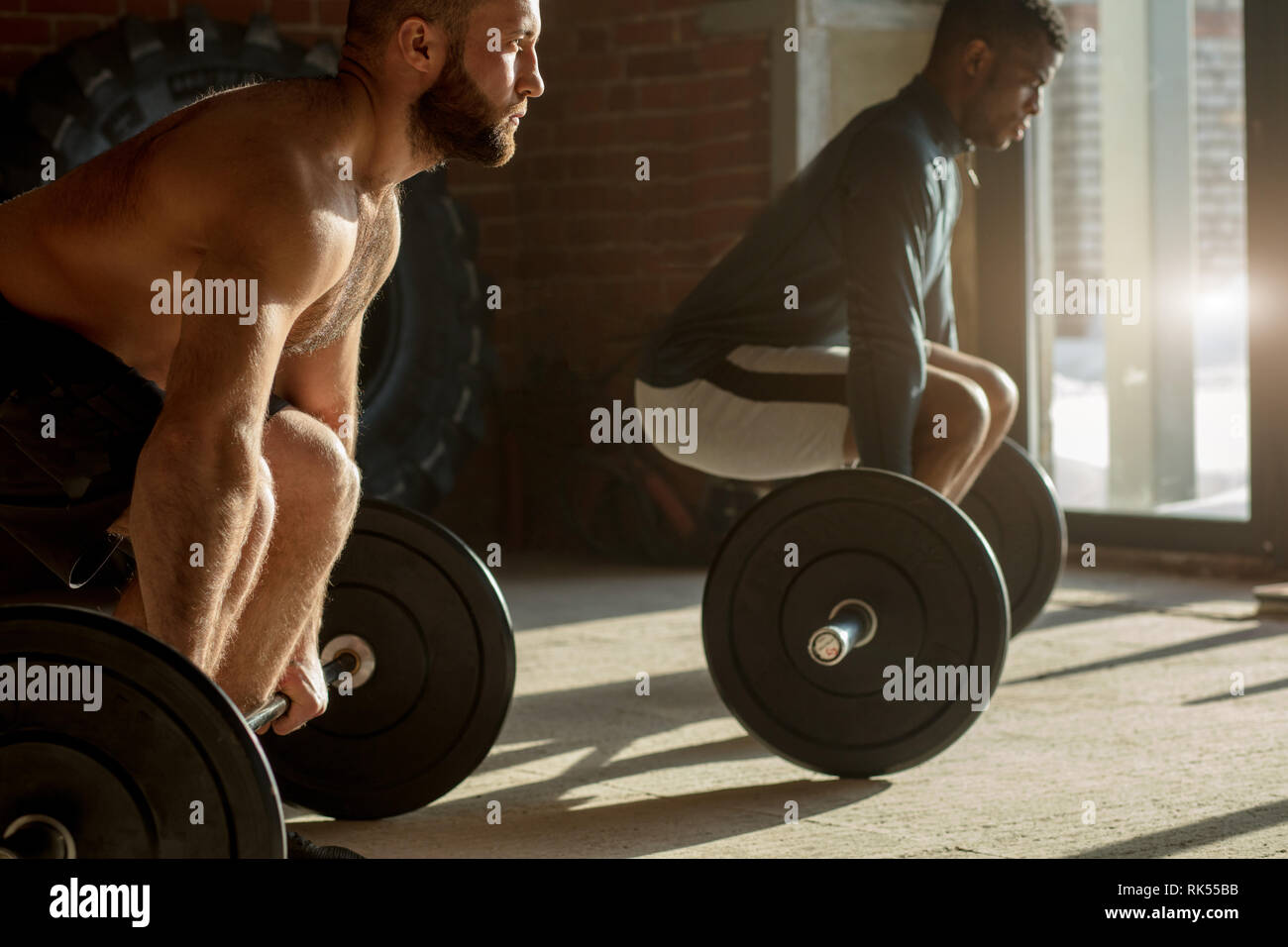 Multiracial pair or group of fit interracial athletes doing deadlift ...