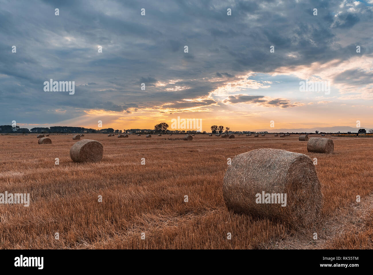 Hay bale. Agriculture field with cloudy sunset. Rural nature in the ...