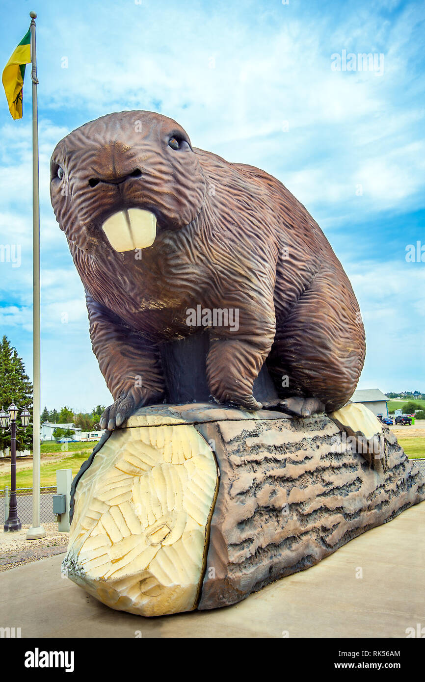 Mascot Bieber statue in Beaverlodge Alberta Canada Stock Photo - Alamy