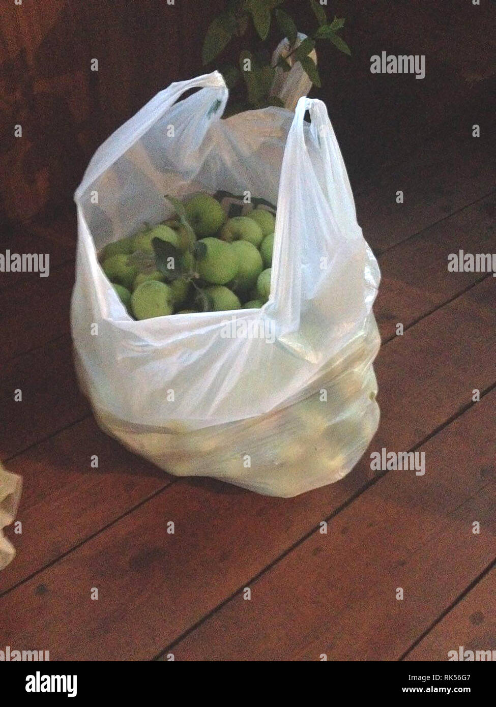 Big green bag hi-res stock photography and images - Alamy