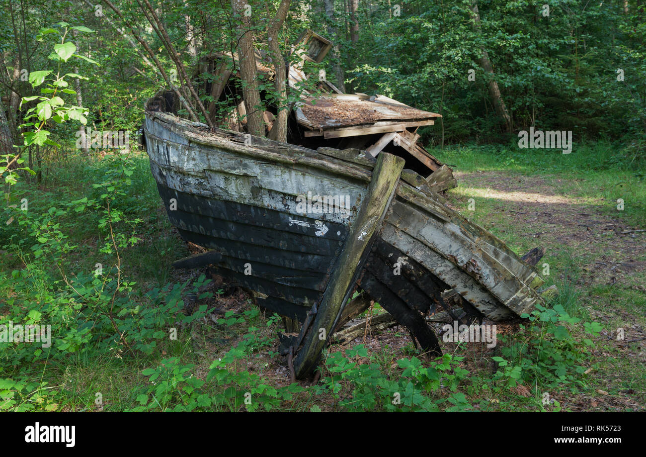 Old broken wooden boat under a trees Stock Photo - Alamy