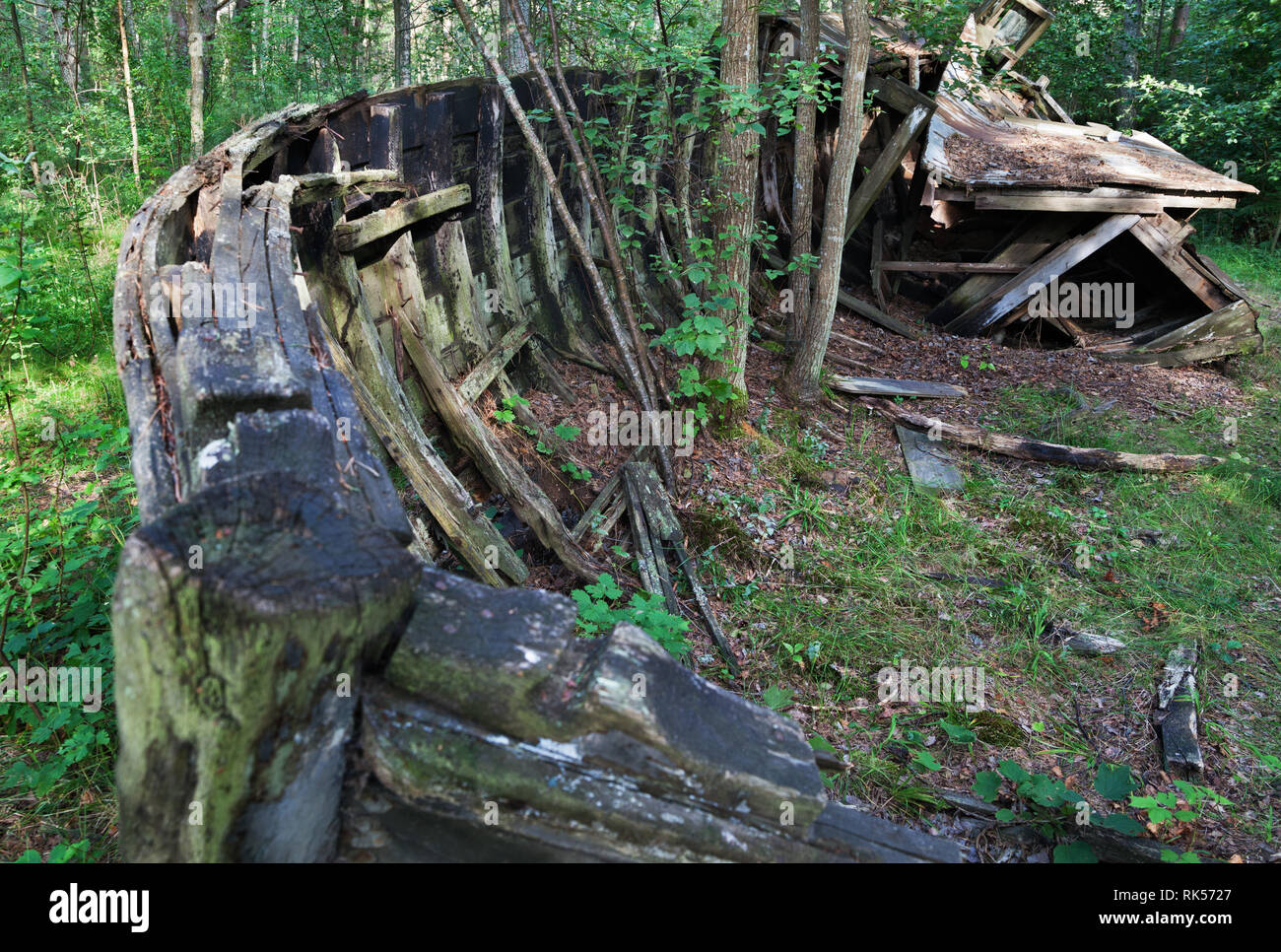 Old broken wooden boat under a trees Stock Photo - Alamy