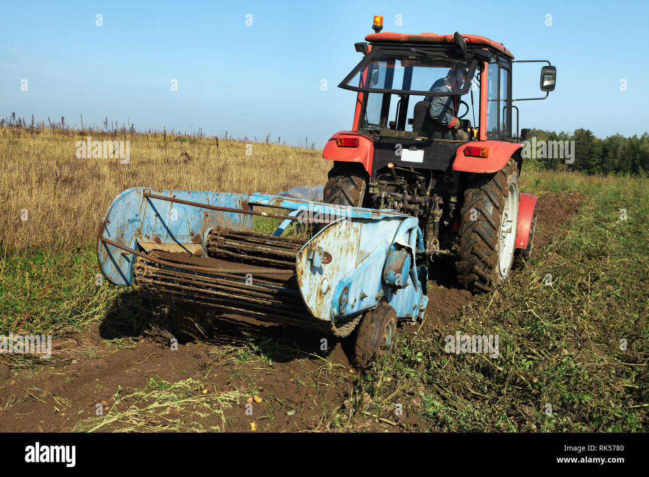 Tractor with special equipment for digging the potato Stock Photo - Alamy