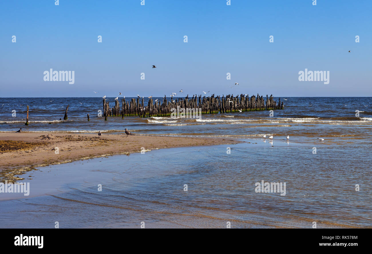 Breakwater mole ocean seawall hi-res stock photography and images - Alamy