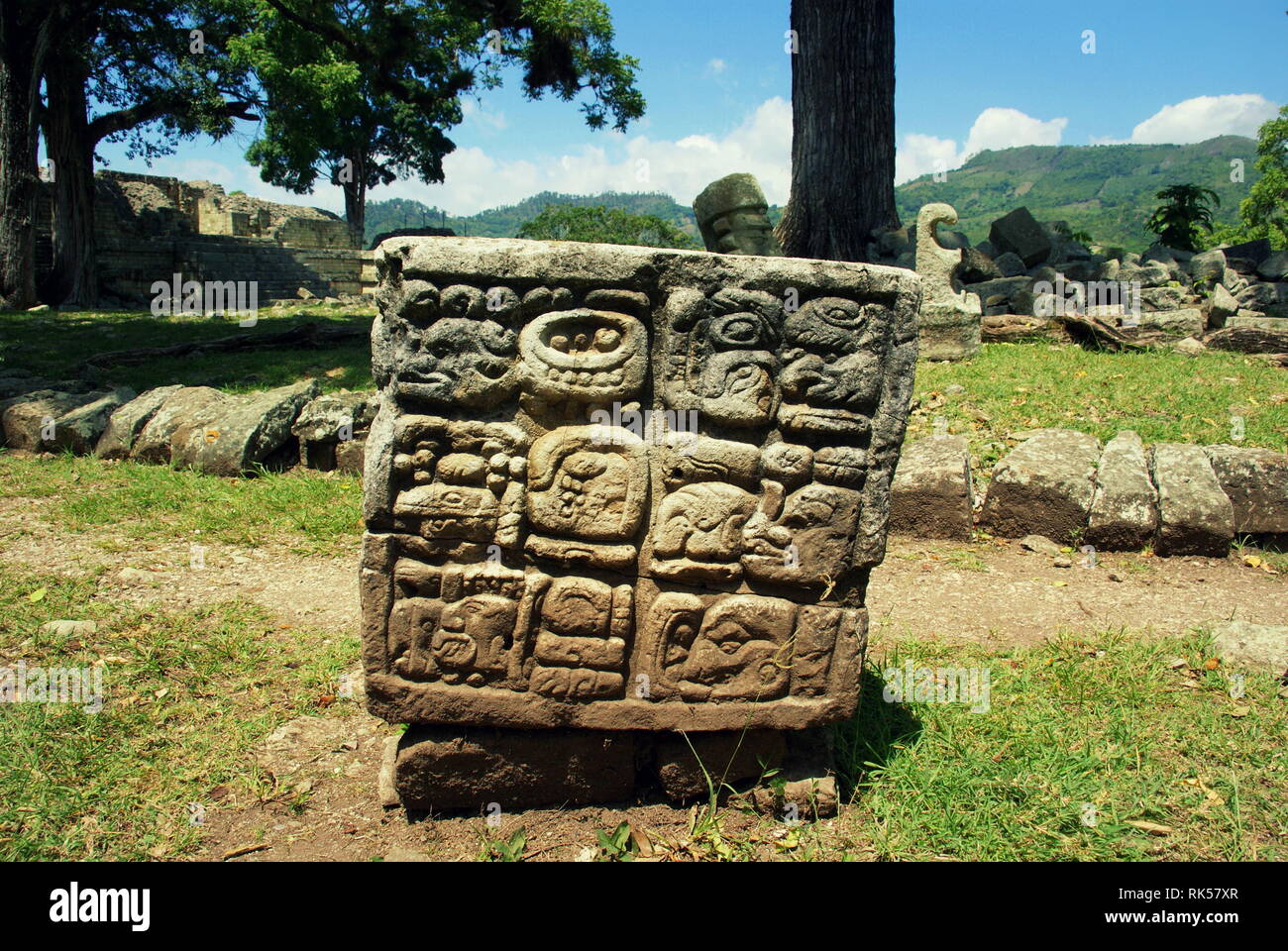 quadratic stone with old maya carvings at copan ruines, Honduras Stock ...