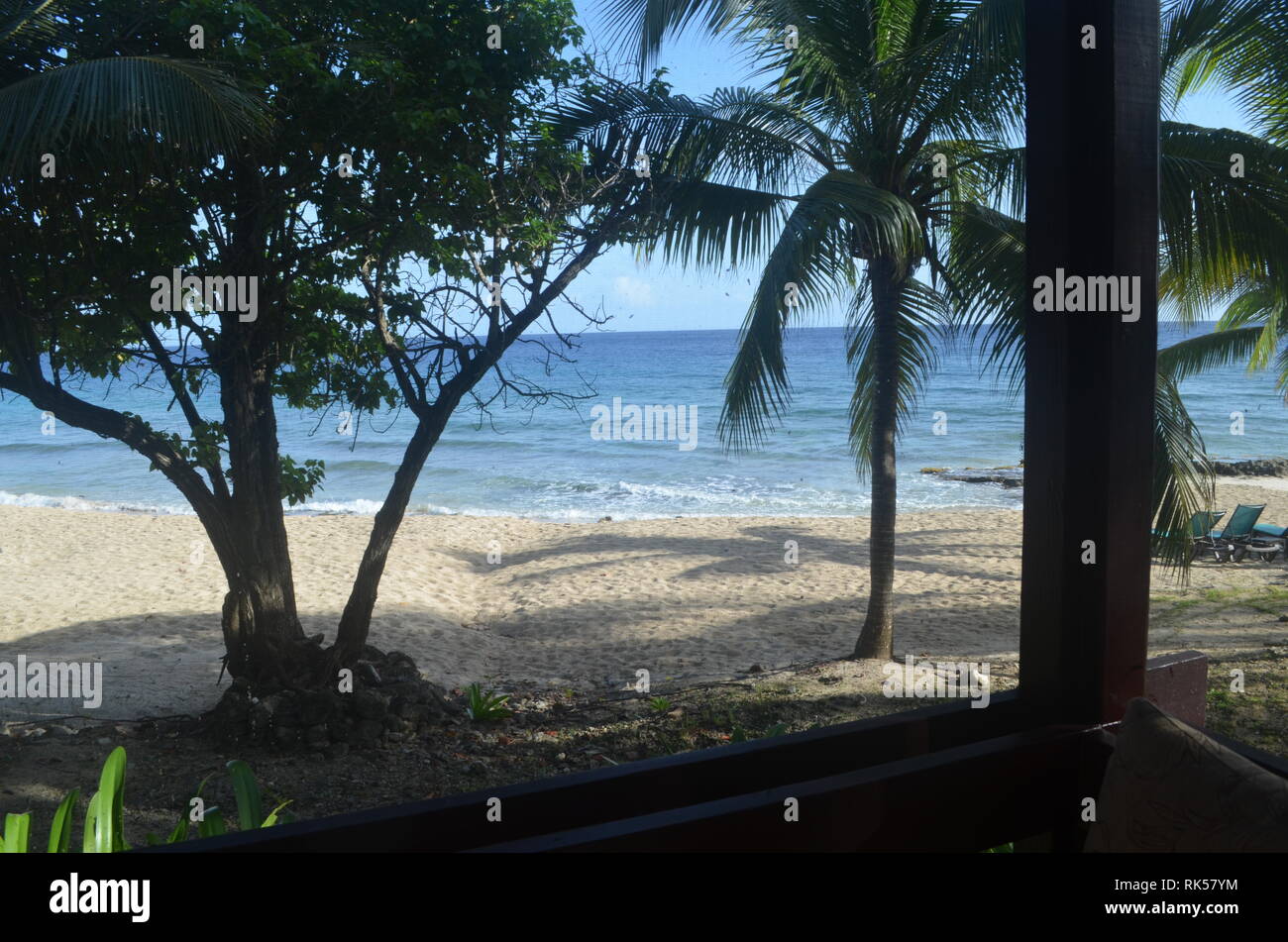 Coastal Georgia, U.S. salt marsh and open water Stock Photo - Alamy