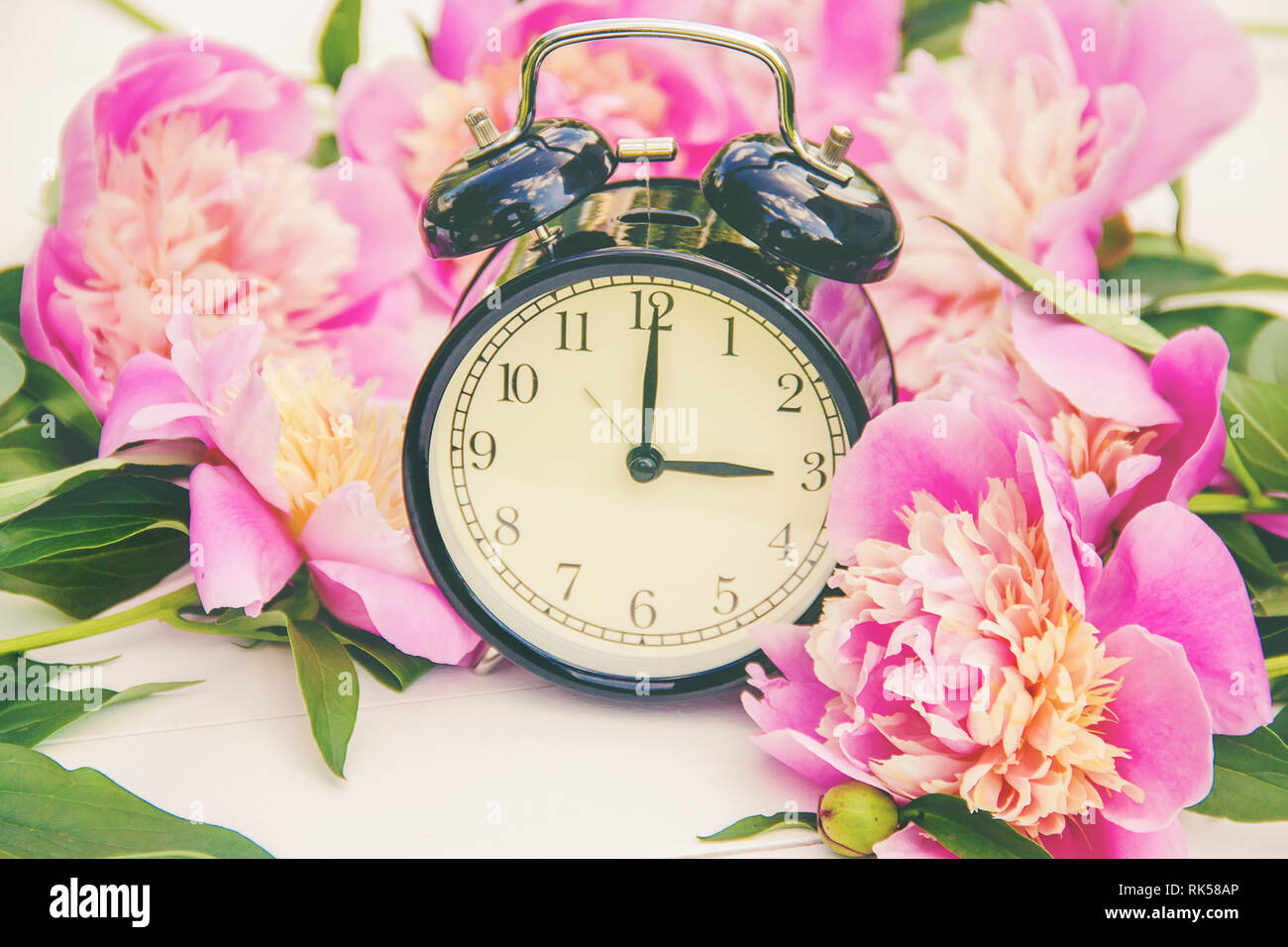 Spring flowers and Alarm Clock. Change the time. nature Stock Photo - Alamy
