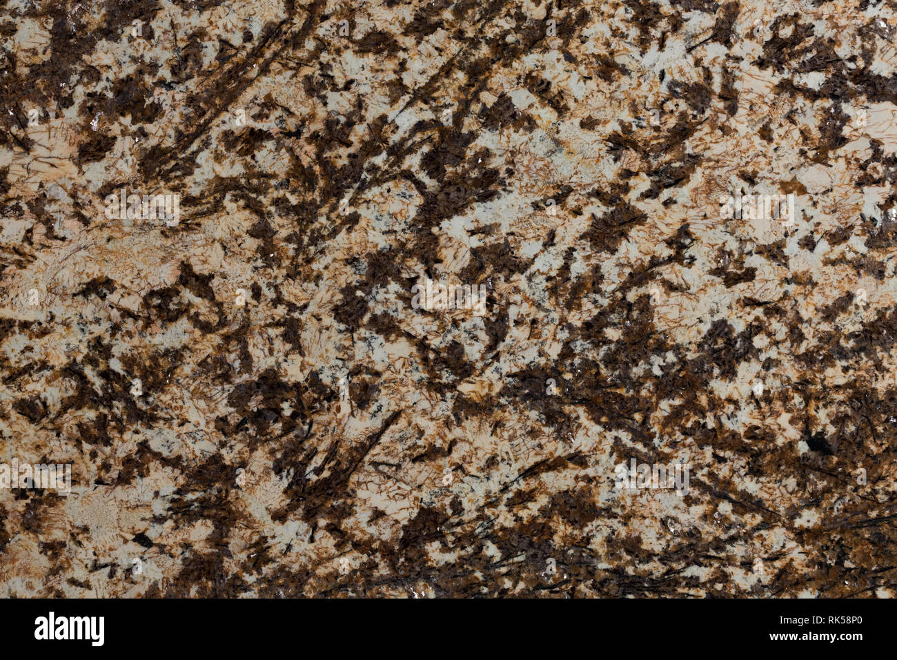 Brown seamless granite texture for your unique project Stock Photo - Alamy