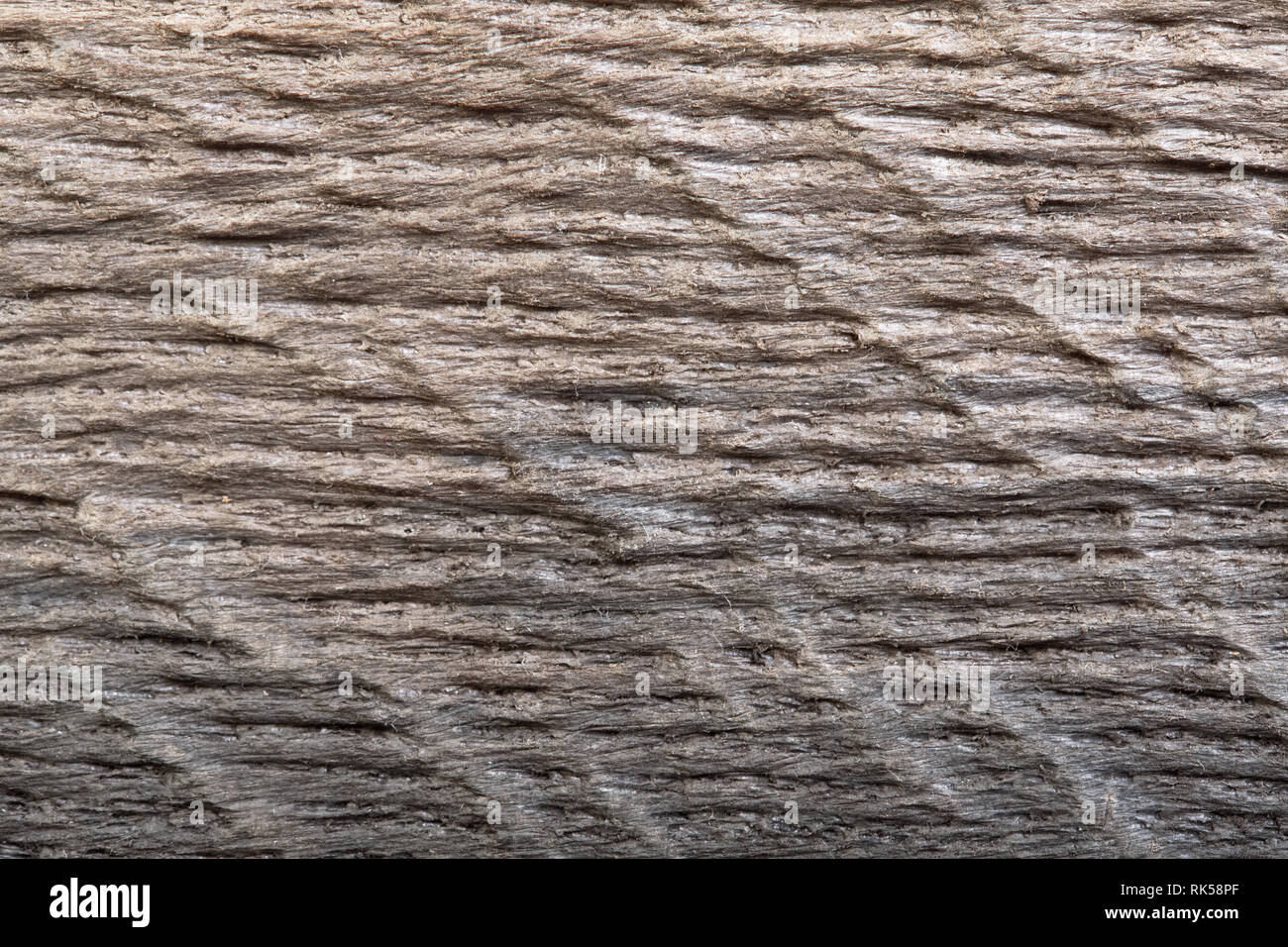 Wood bog oak texture background for your unique project Stock Photo - Alamy