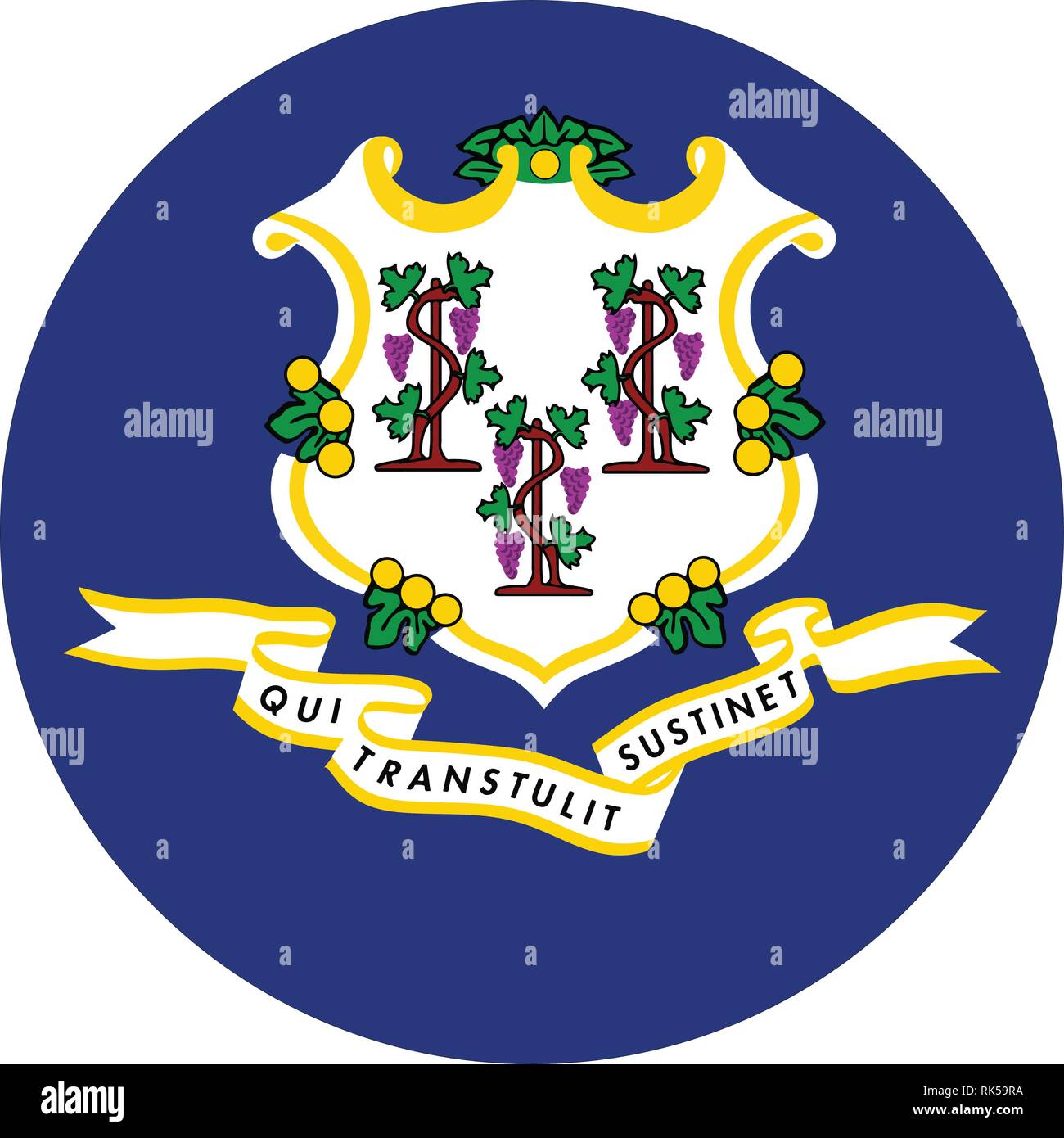 Flag of Connecticut state of United States of America Stock Vector ...
