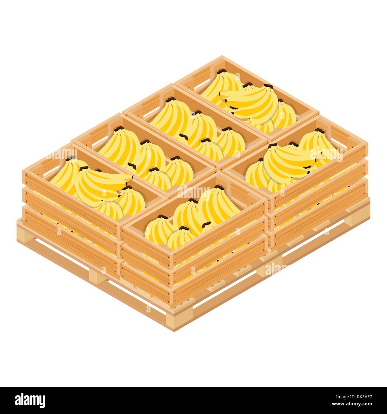Vector isometric ripe bananas in wooden box on pallet isolated on white ...