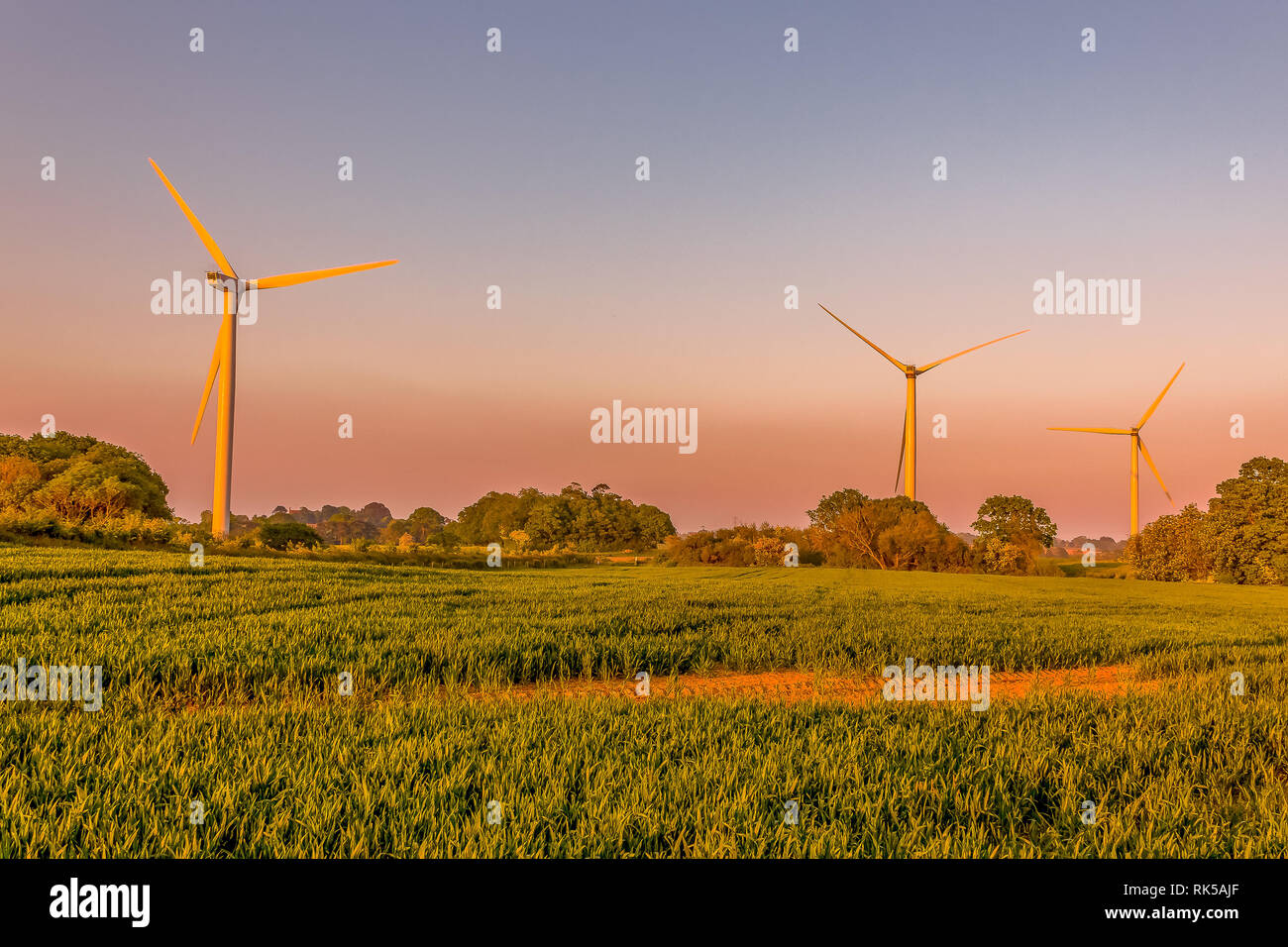 Wind turbine sunset pink hi-res stock photography and images - Alamy