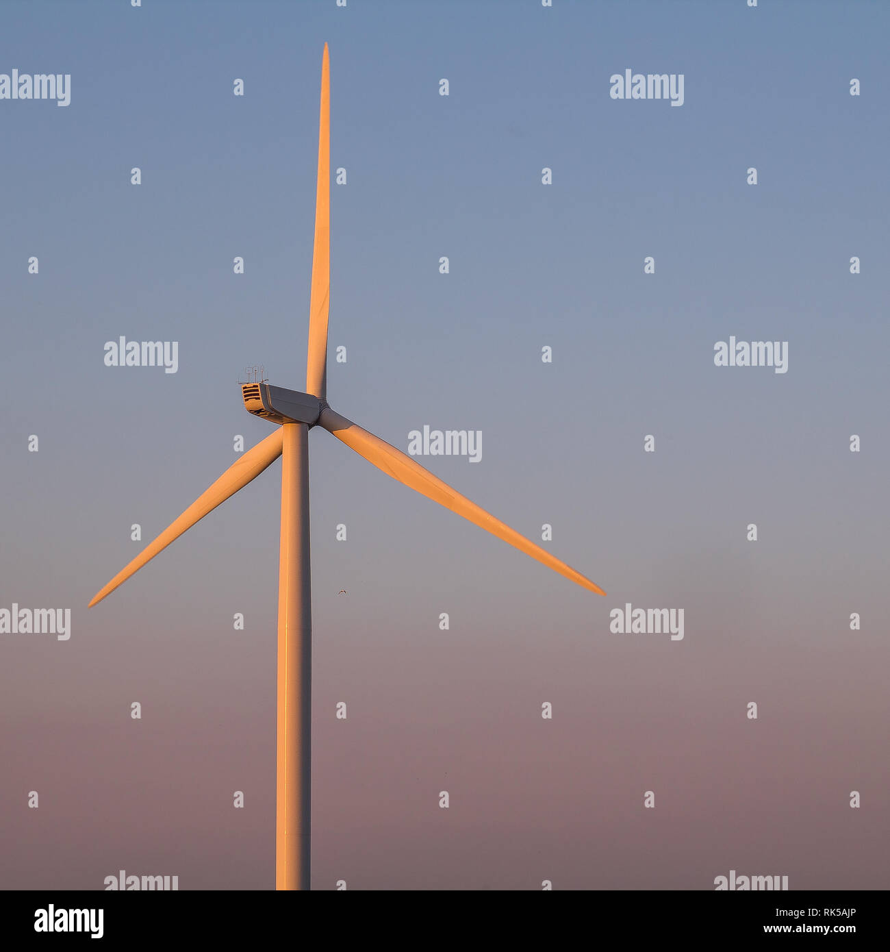 Wind turbine sunset pink hi-res stock photography and images - Alamy