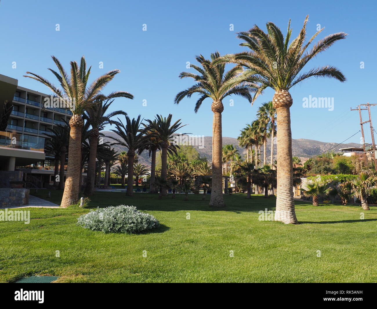 landscape garden hotel resorts beautiful tree palm, traditional ...