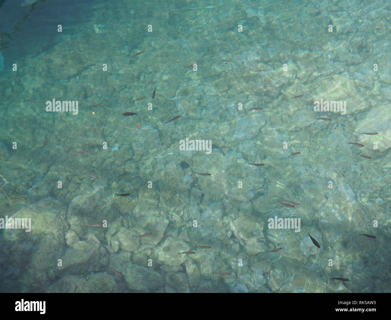 Water surface clean texture background, smooth texture of the water ...