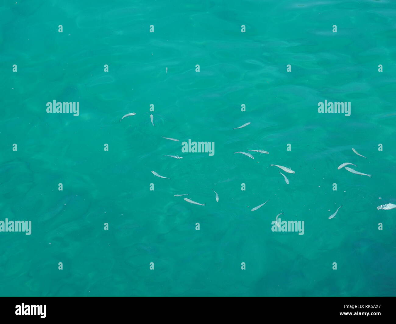 Water surface clean texture background, smooth texture of the water ...