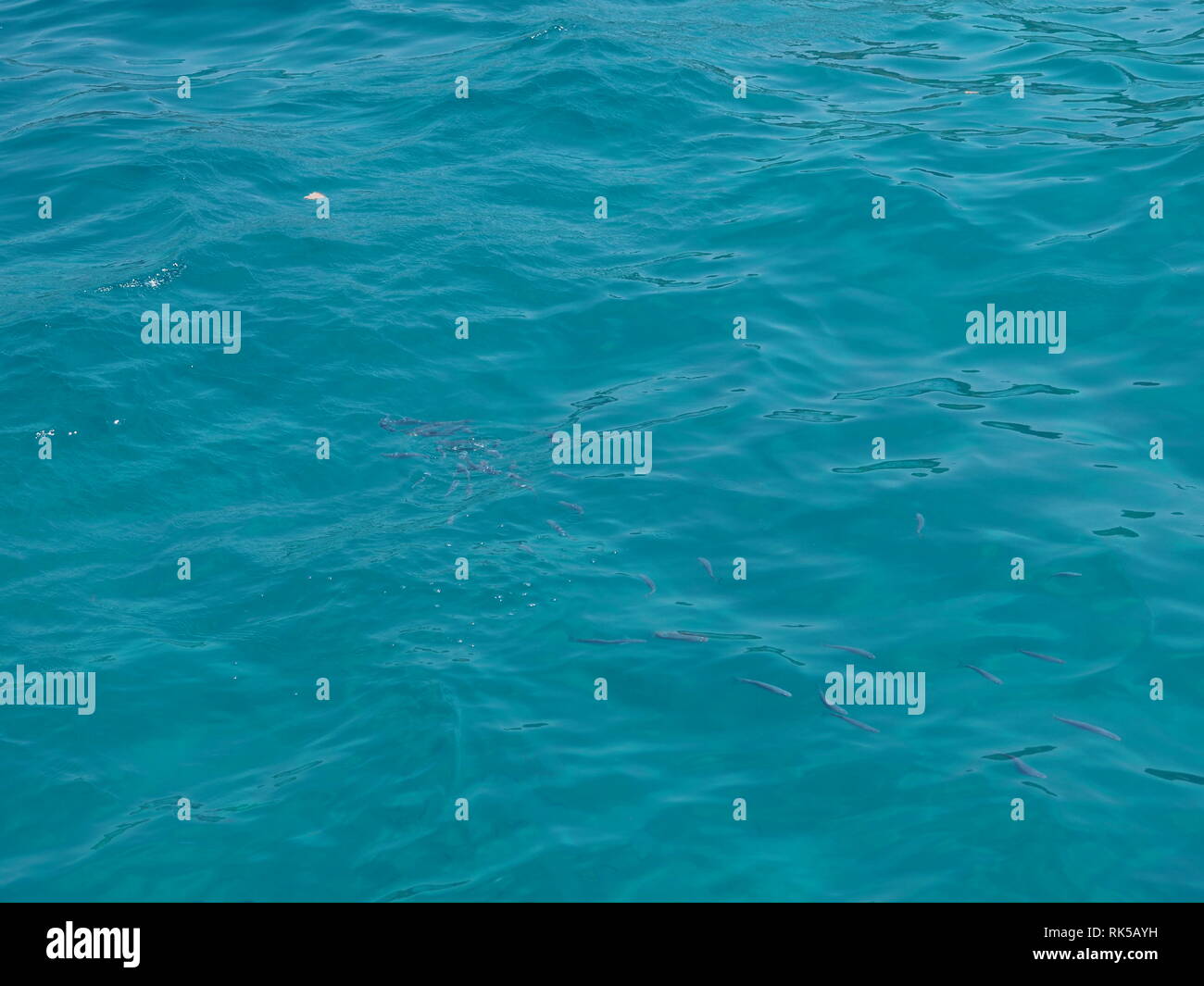 Water surface clean texture background, smooth texture of the water ...