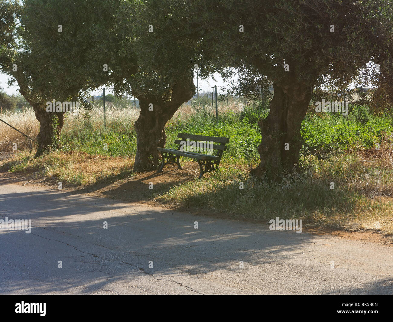 Shade under tree hi-res stock photography and images - Alamy