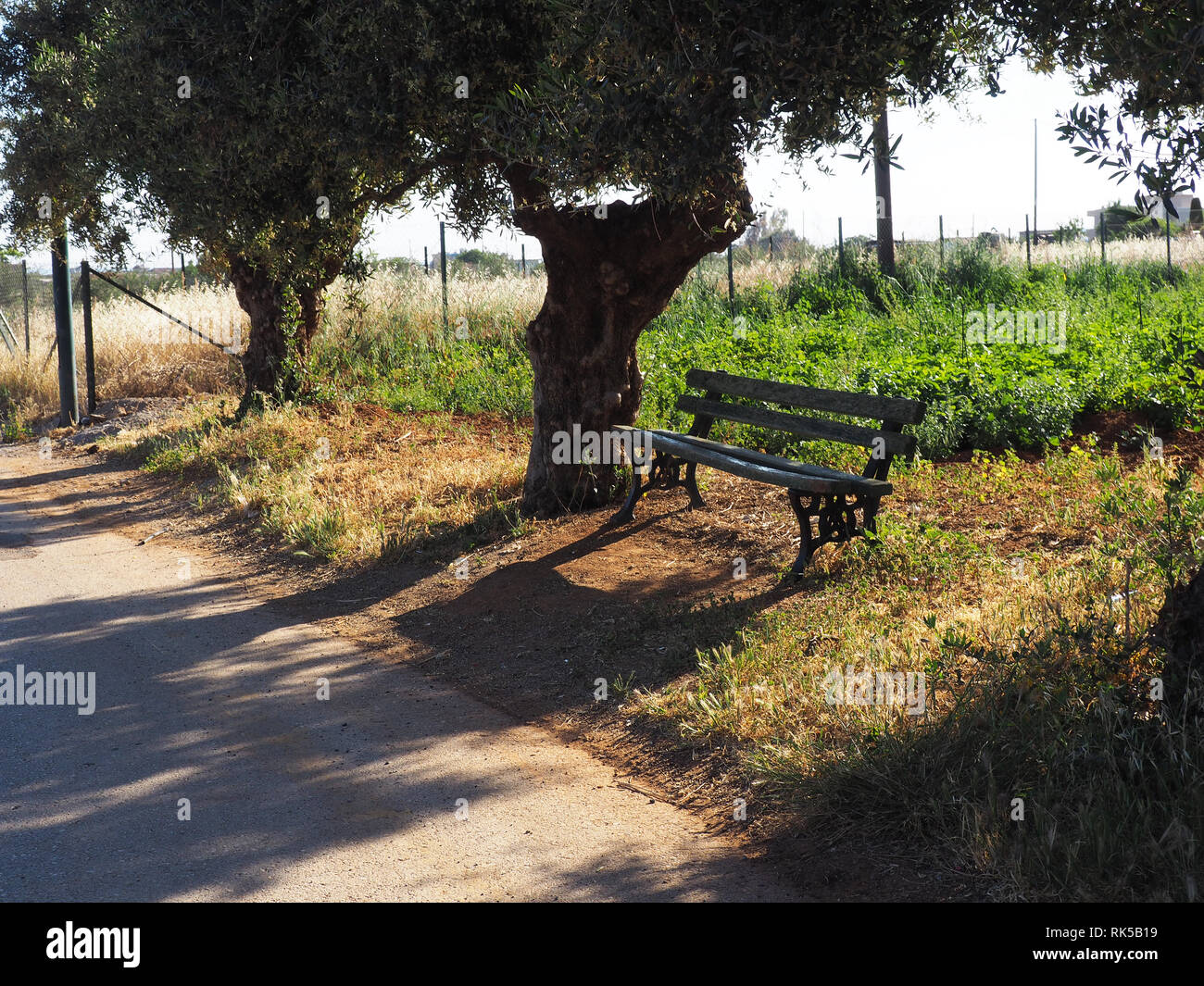 Sitting under shade hi-res stock photography and images - Alamy