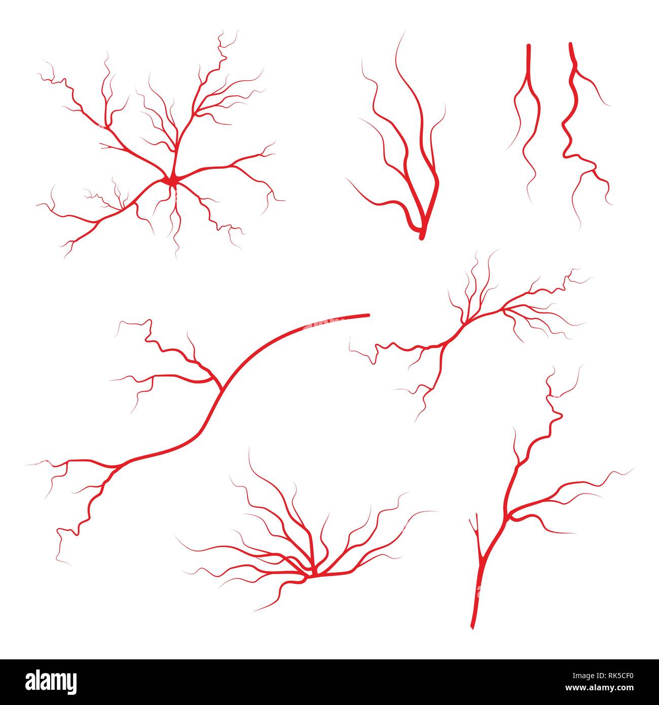 Human blood arteries. Vein vector icon set. Eye veins silhouette ...