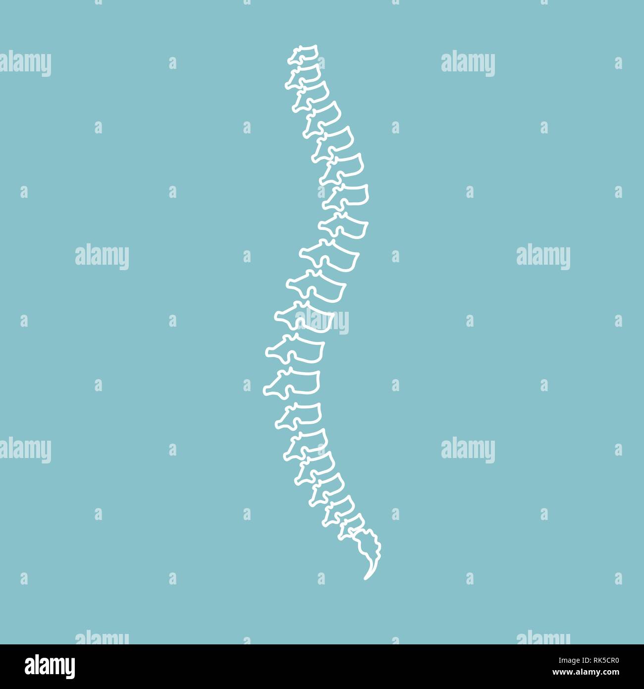 Vector illustration white spine diagnostic symbol, design, sign on blue ...